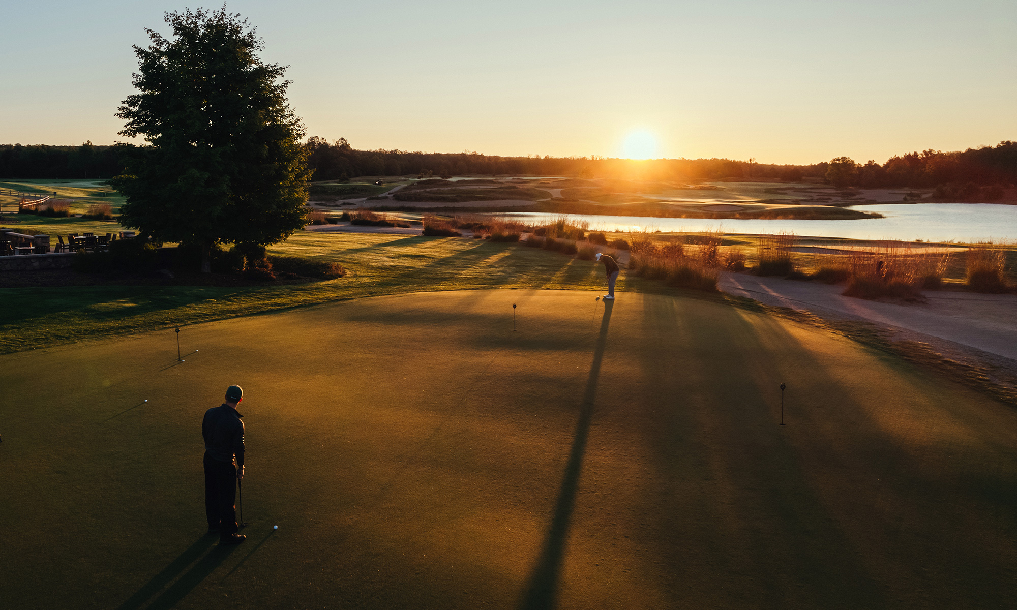 Contact – Forest Dunes