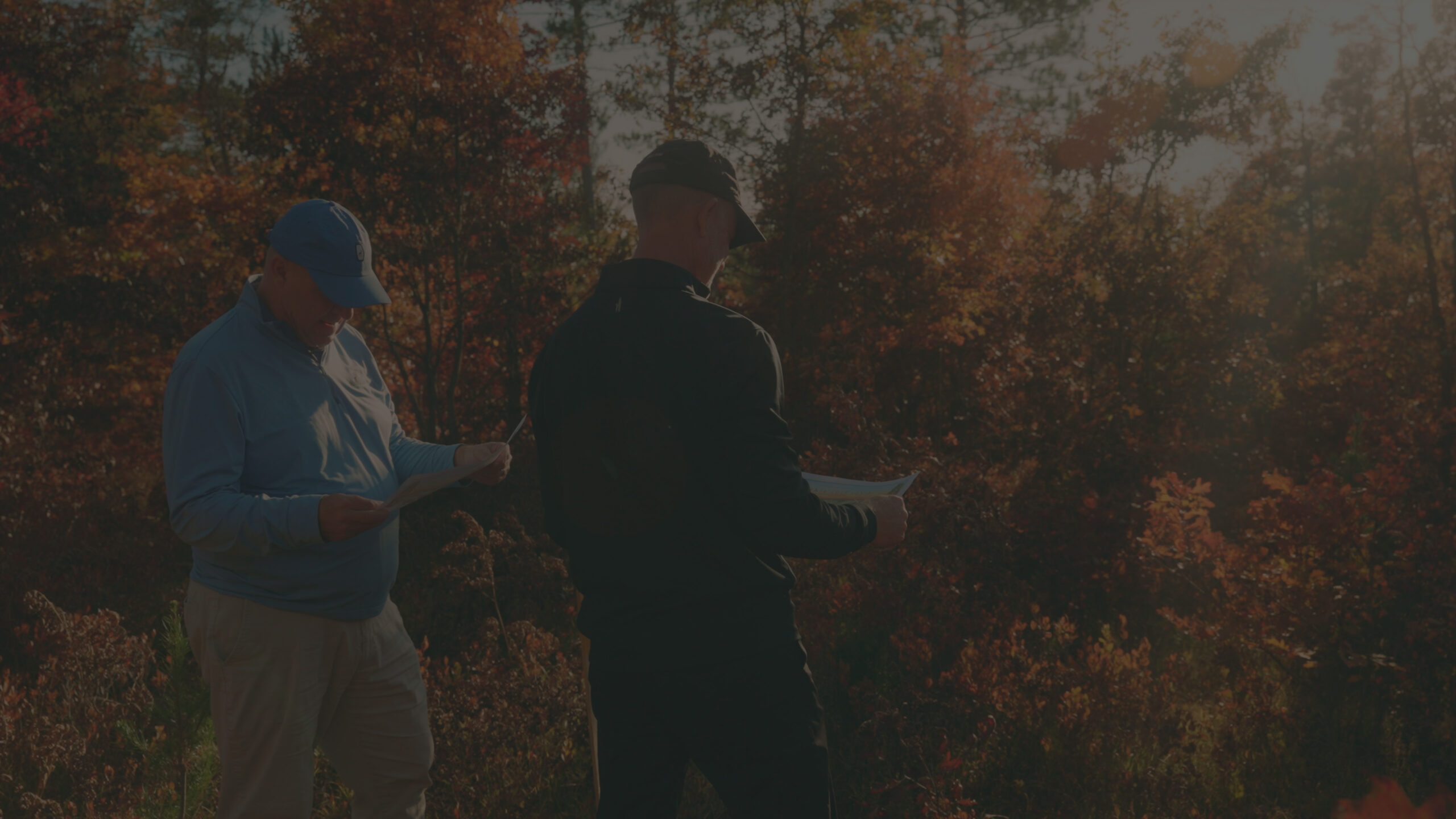 Tom Sunnarborg – Forest Dunes