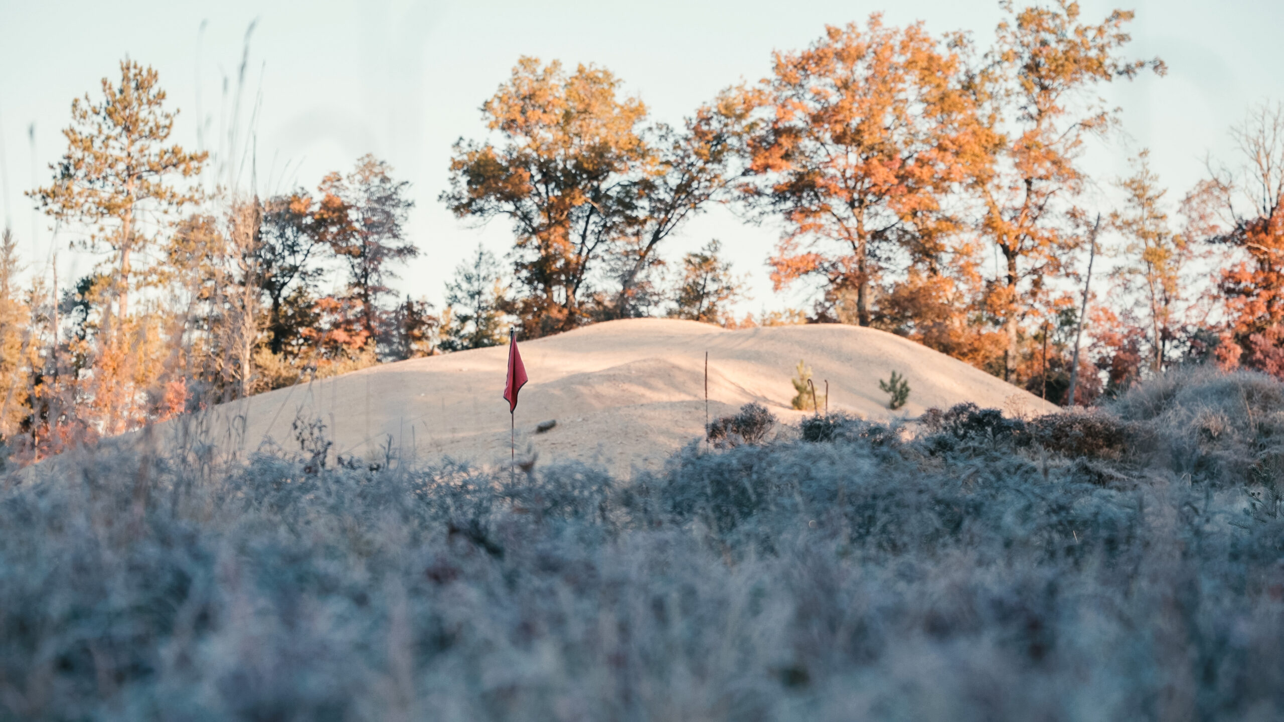 Creating SkyFall – Forest Dunes